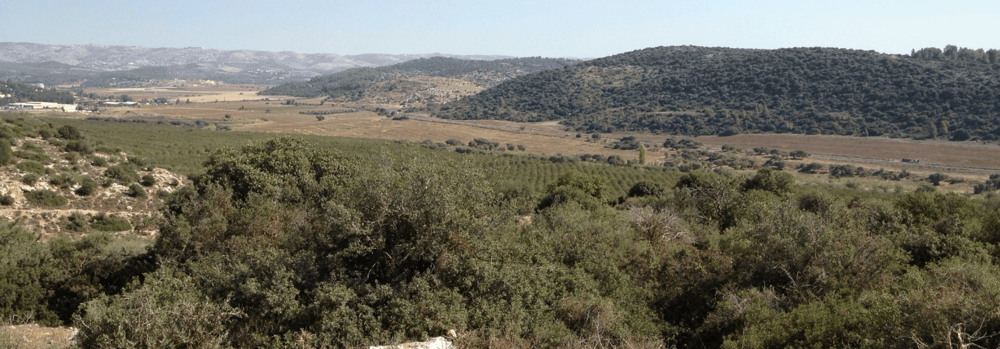 The Valley of Elah - Catholic Journal
